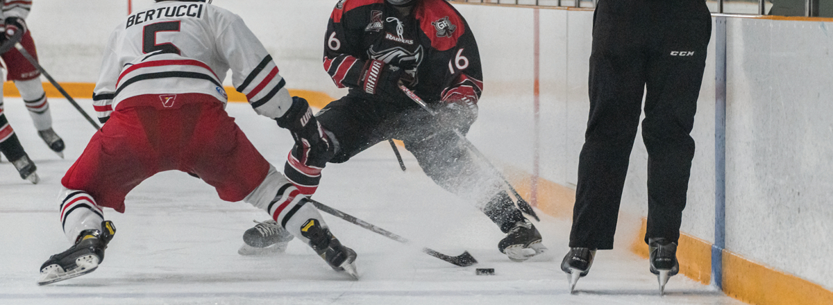 Arenas - Stouffville